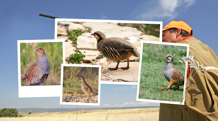 Mang Village: A Paradise for Wildlife Enthusiasts - Khanpur Dam